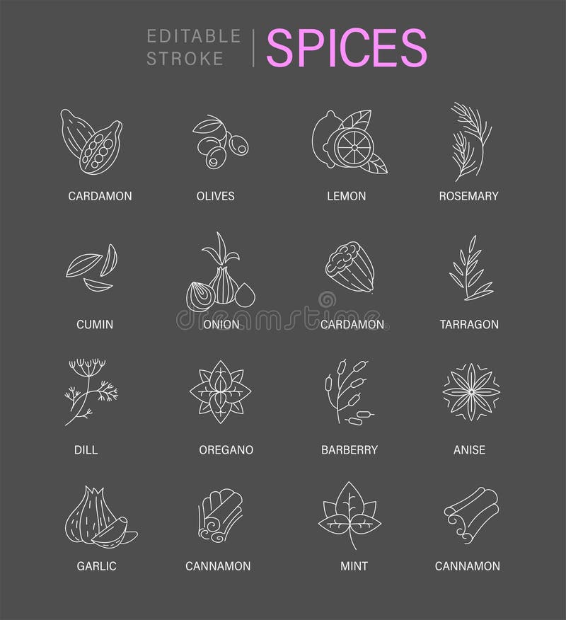 Vector Icon and Logo for Spices and Herbs Stock Vector - Illustration ...