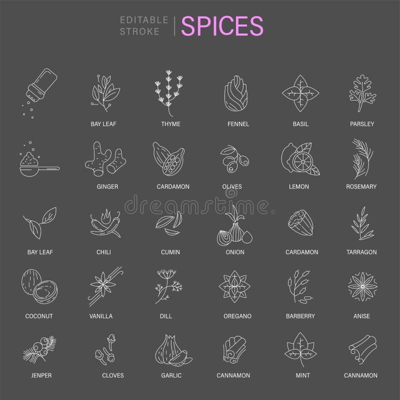 Vector Icon and Logo for Spices and Herbs Stock Vector - Illustration ...