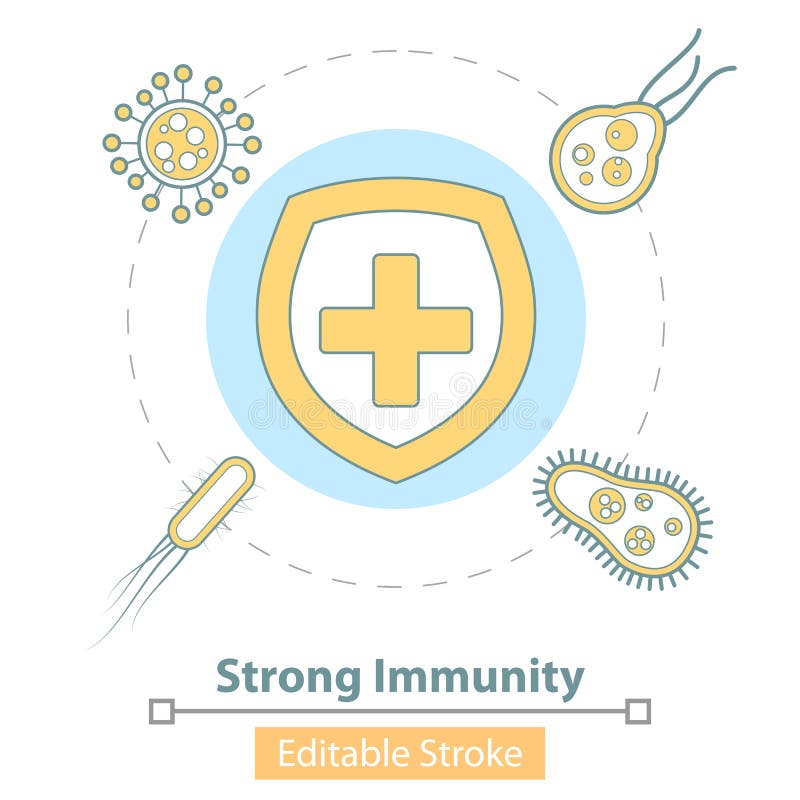 Strong Immune System Stock Illustrations – 1,297 Strong Immune System ...