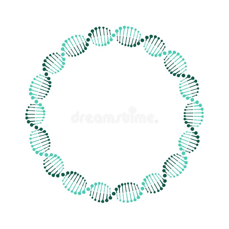 Abstract Model of Human of DNA Molecule. Eps 10 Stock Vector ...