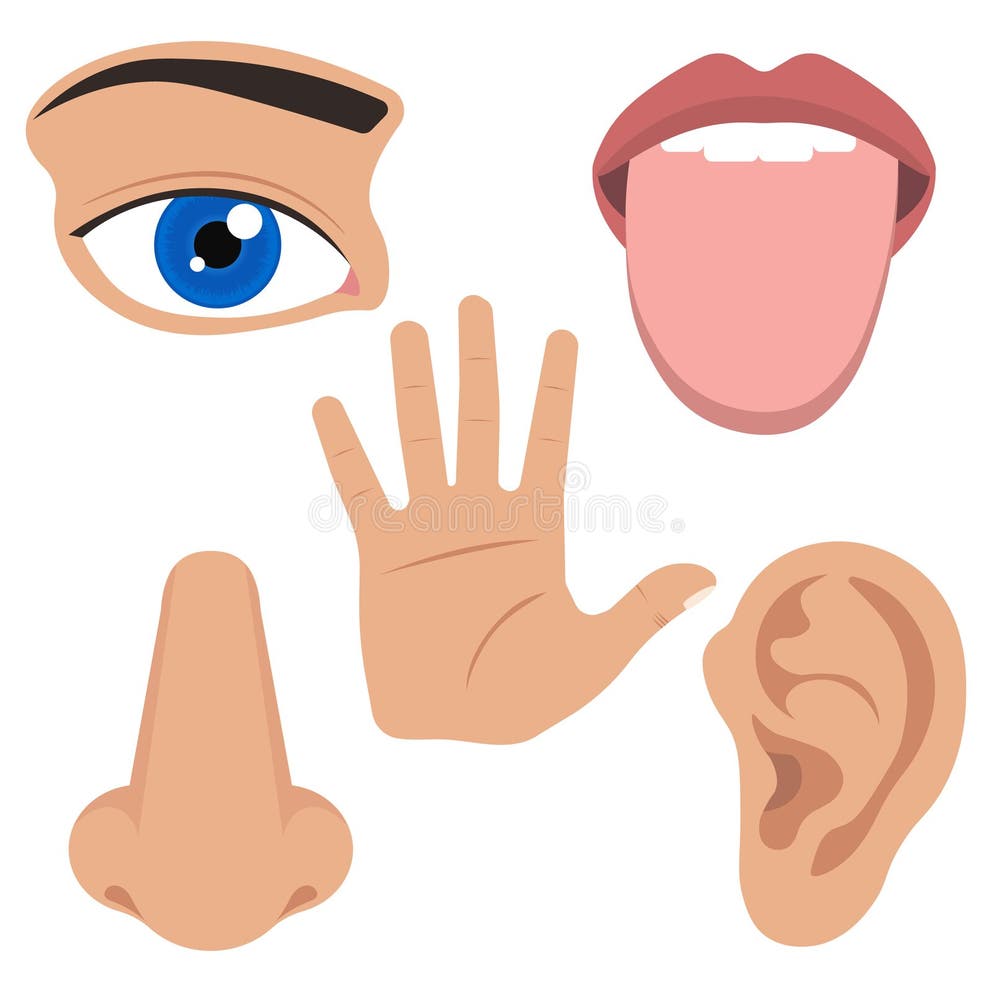 Cartoon Sens Stock Illustrations – 17 Cartoon Sens Stock Illustrations ...