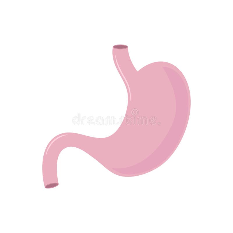 Vector Illstration of Stomach. Flat Design. Isolated. Stock Vector ...