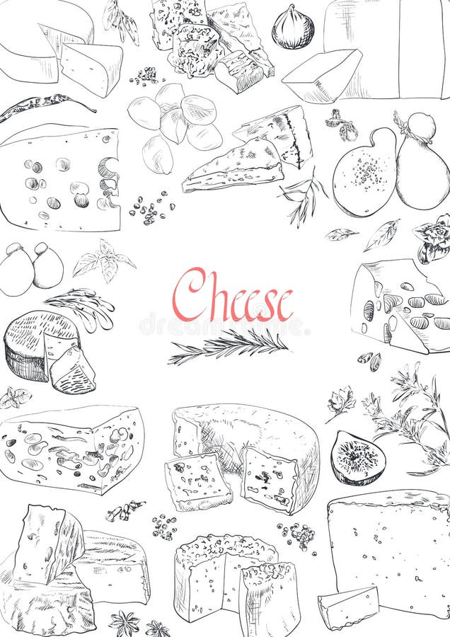Vector Illustrated Set Cheese Menu. Stock Illustration - Illustration ...