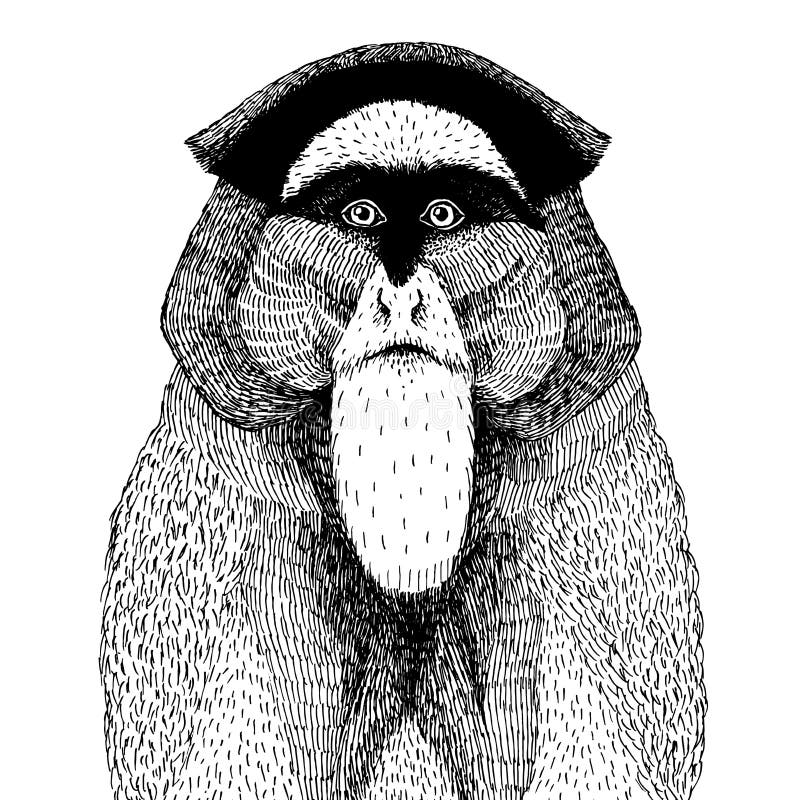 Vector Illustration with an Abstract Monkey Stock Vector - Illustration ...