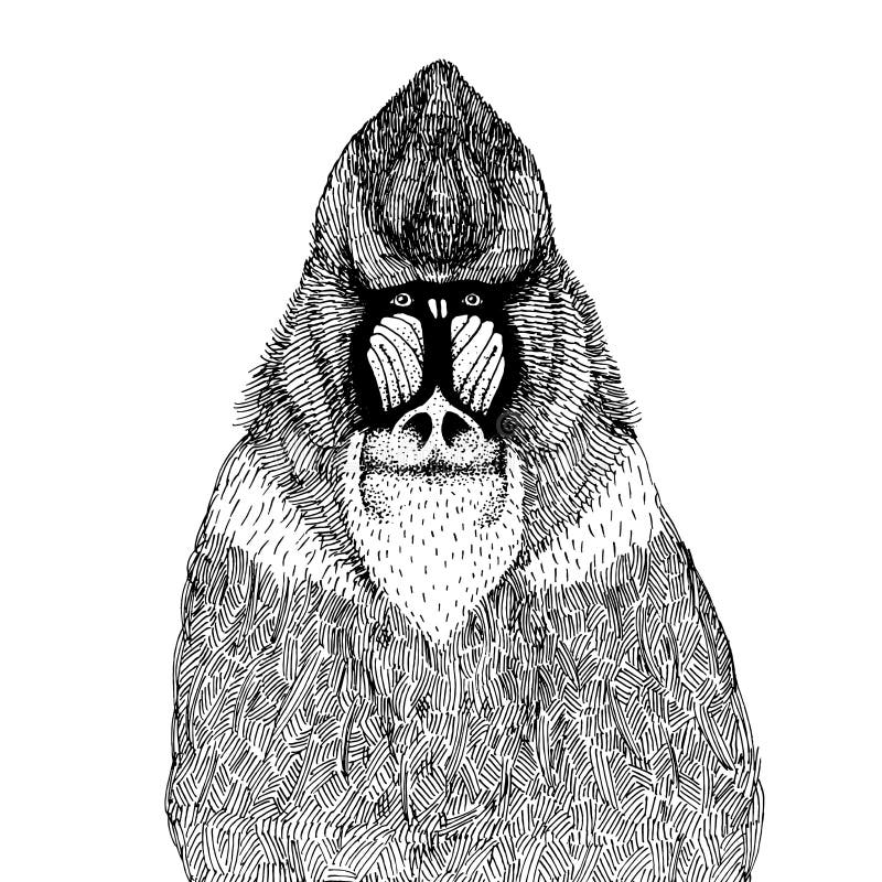 Vector Illustration with an Abstract Monkey Stock Vector - Illustration ...