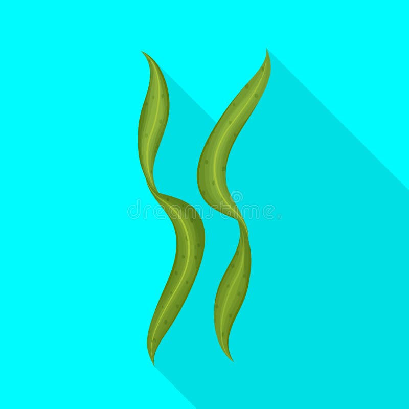 Vector Design of Algae and Seafood Icon. Set of Algae and Ocean Stock ...