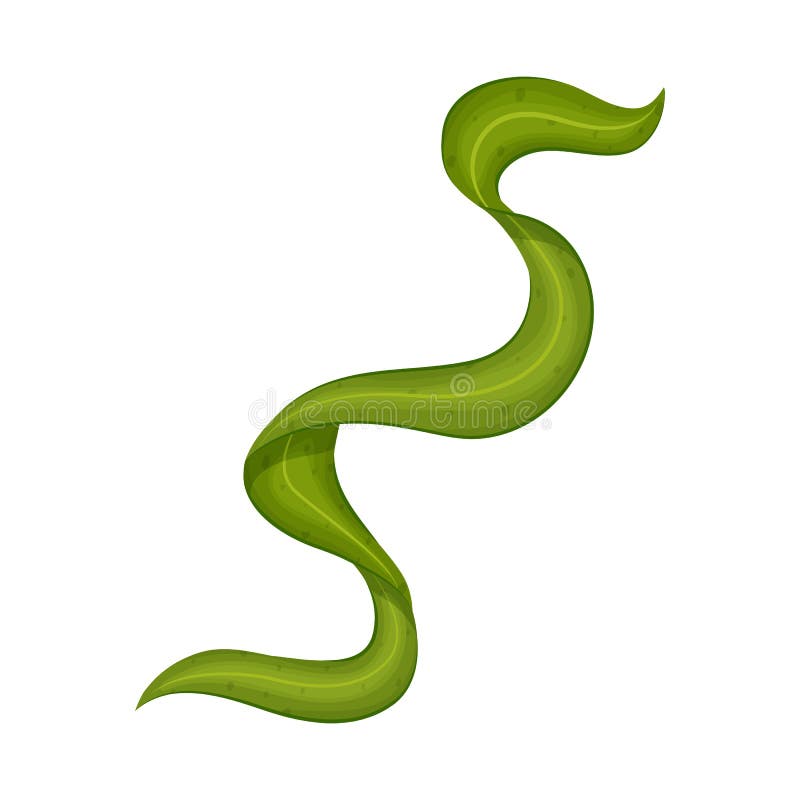 Vector Design of Algae and Spiral Sign. Set of Algae and Natural Vector ...