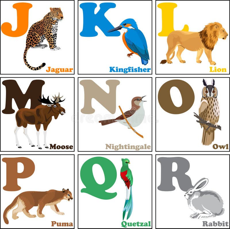 Vector Illustration of Alphabet Animals from J To R Stock Vector ...