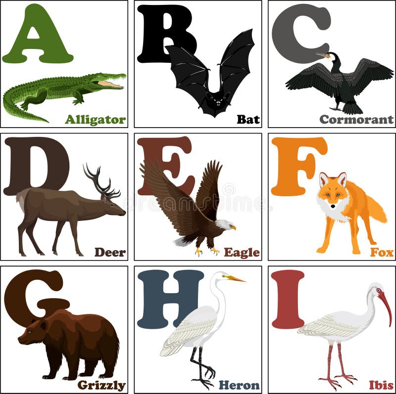 Alphabet Animals Stock Illustrations – 7,850 Alphabet Animals Stock ...