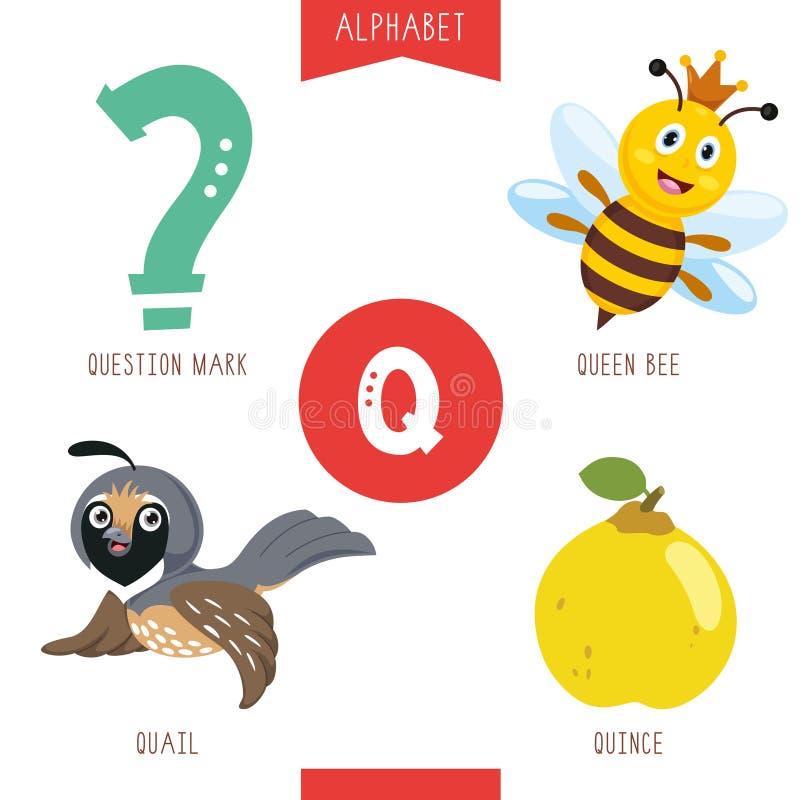 Letter Q. Cartoon Alphabet For Children. Quail, Question, Queen Stock ...