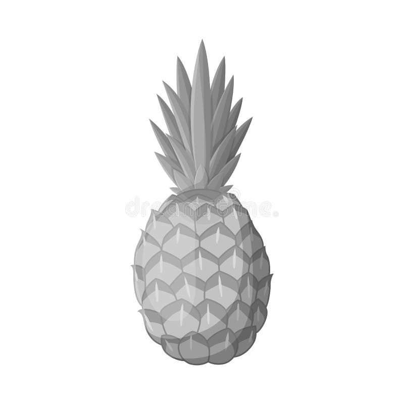 Vector Design of Ananas and Vitamin Sign. Graphic of Ananas and ...
