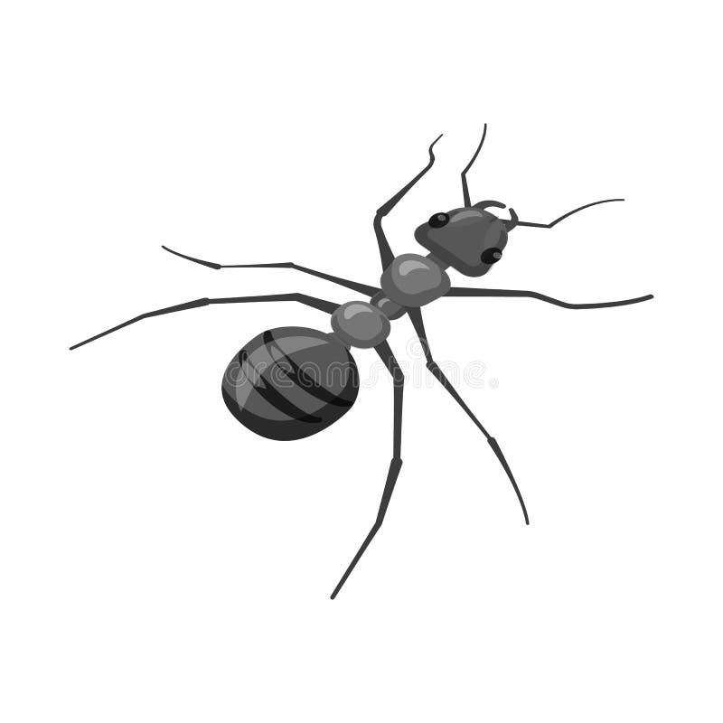 Vector Illustration of Ant and Wild Icon. Set of Ant and Cute Stock ...