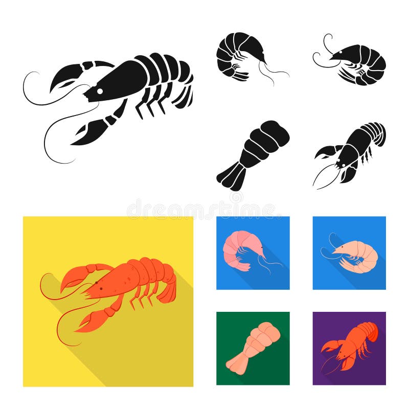 Vector Design of Appetizer and Ocean Symbol. Collection of Appetizer ...