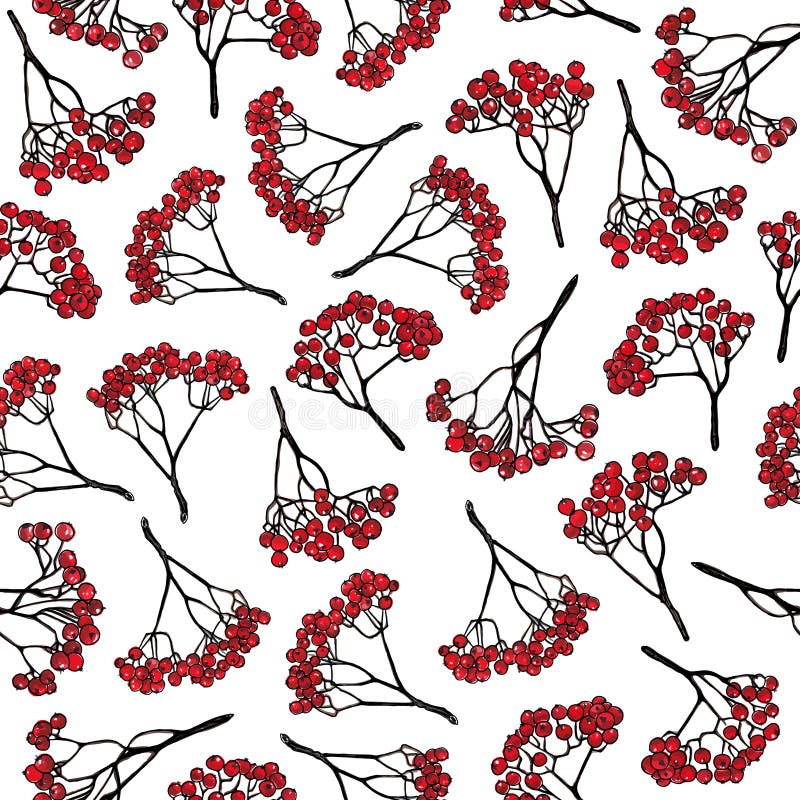 Ash Tree Branches. Red Berries. Element of Seamless Pattern. Paper ...