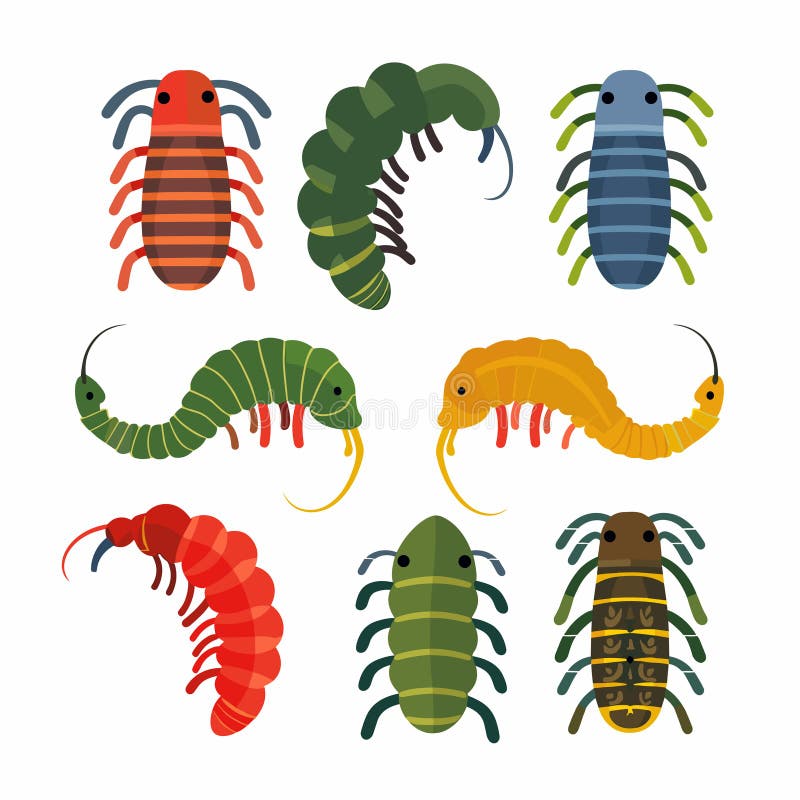 Vector Illustration Assorted Stylized Bugs Insects Various Colors ...