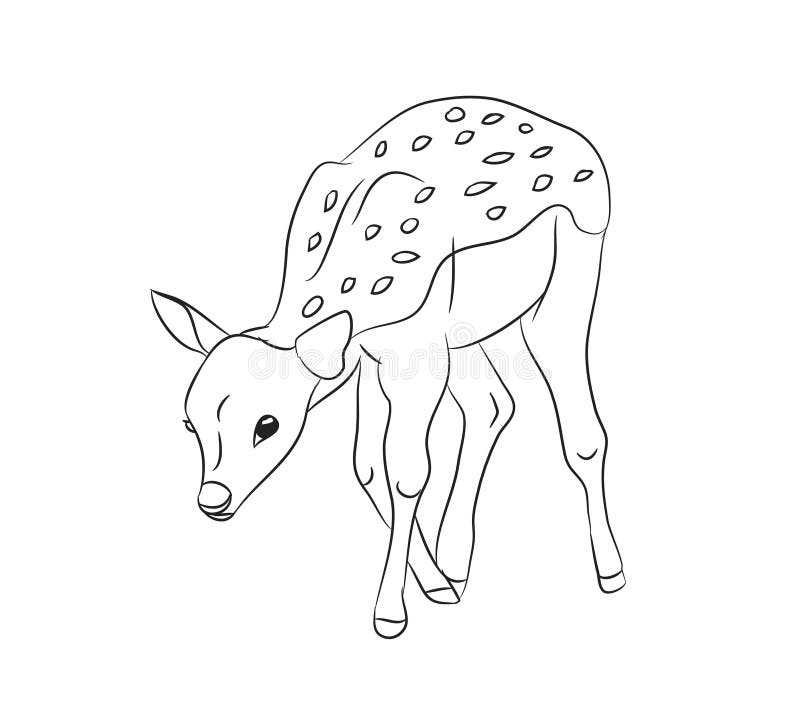 Vector Illustration Baby Deer, Lines, Vector Stock Vector ...