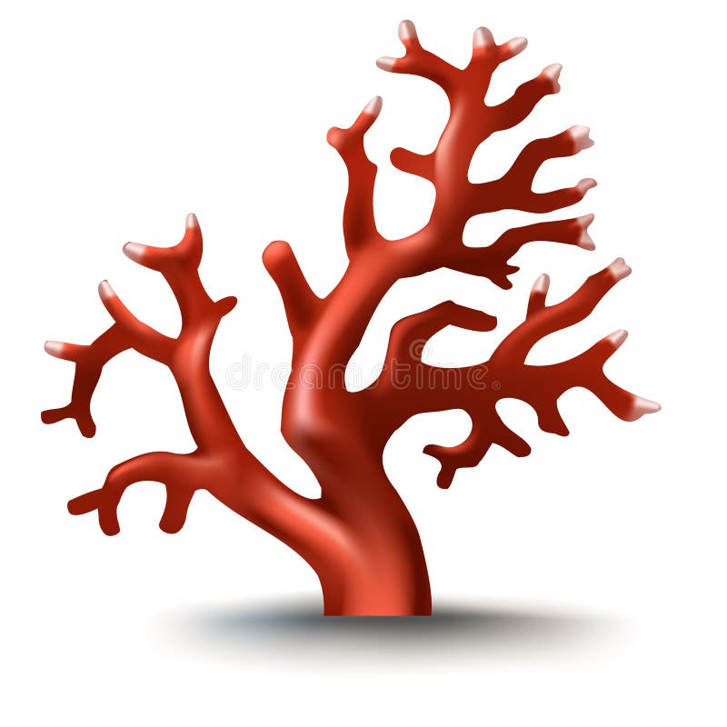 Coral vector stock vector. Illustration of ocean, creature - 46266663