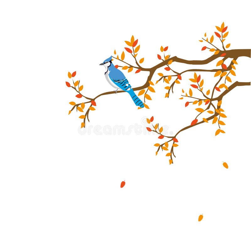 Vector Illustration of a Beautiful Bird on a Tree Branch Stock ...