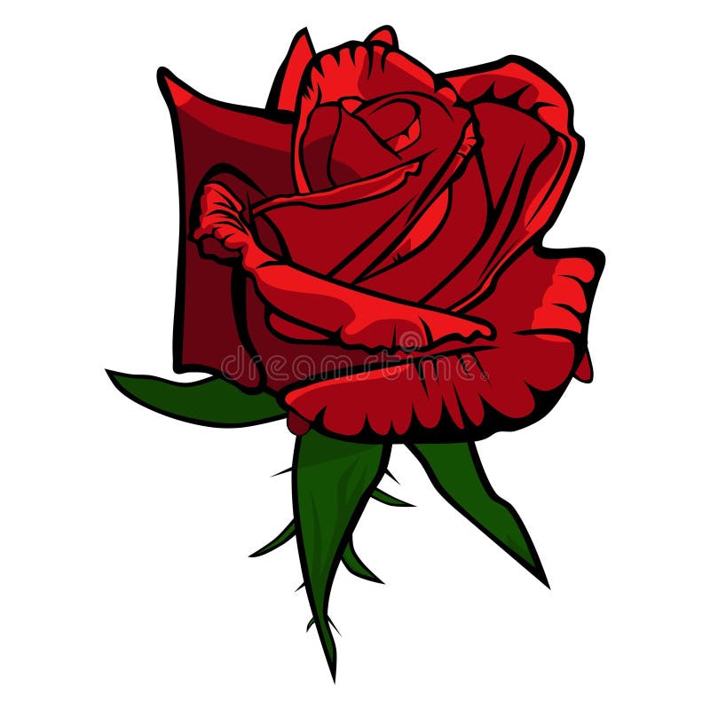 Vector Illustration of Beautiful Red Roses (five) Stock Vector ...