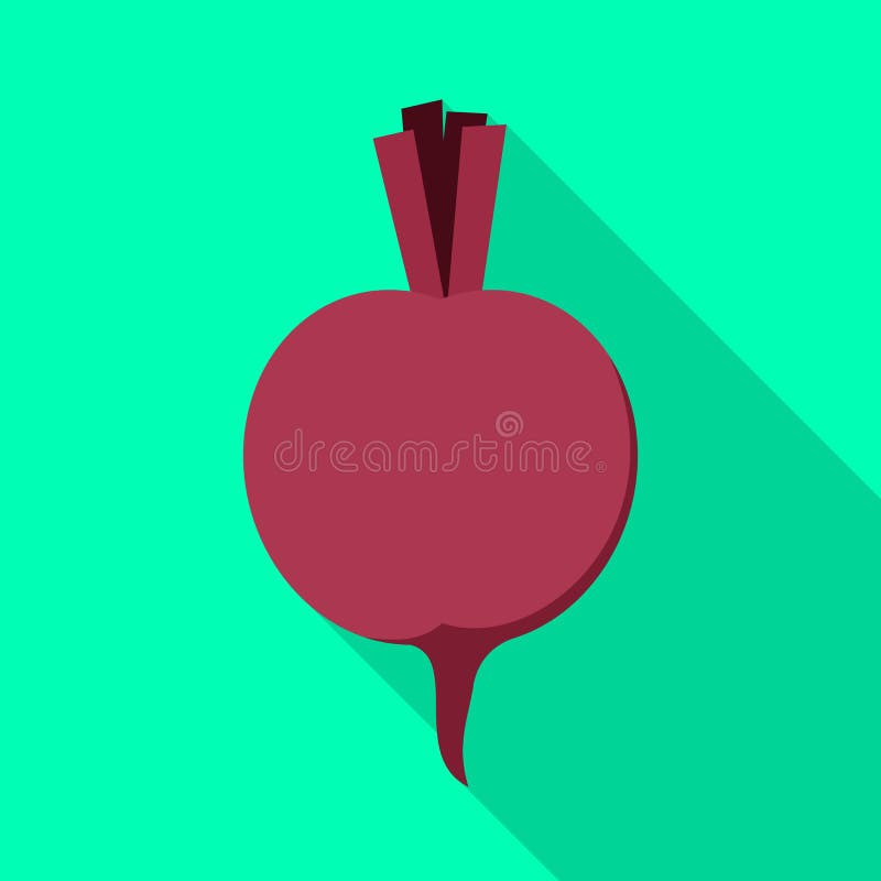 Vector Design of Beet and Beetroot Symbol. Set of Beet and Diet Stock ...