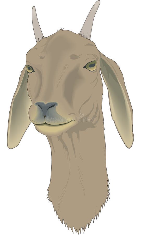 Billy Goat Illustration stock vector. Illustration of animals - 133755329