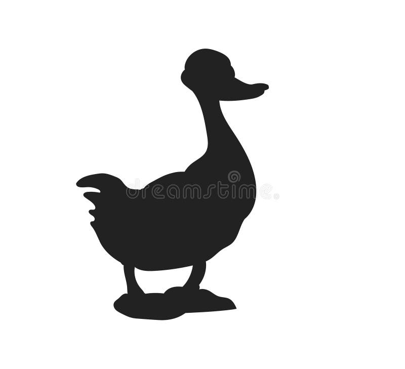 Line Drawing Birds Thrasher Stock Illustrations – 5 Line Drawing Birds ...