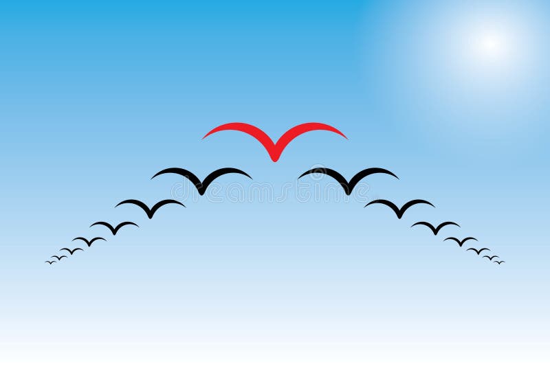 Vector Illustration of Bird Flock: Red Leader Stands Out of Black ...