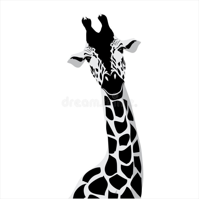 Giraffe Side View Stock Illustrations – 168 Giraffe Side View Stock ...