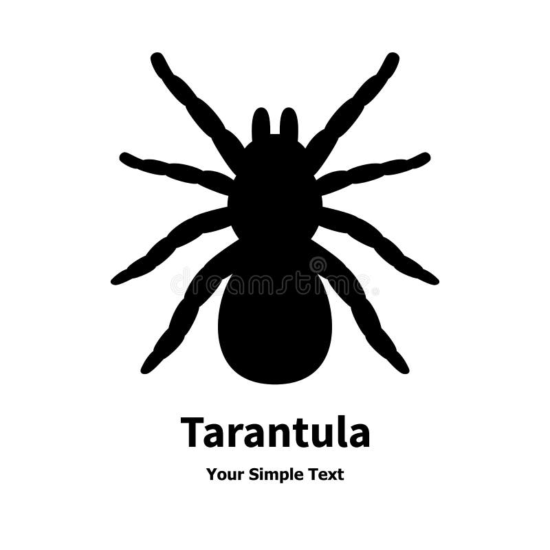 Spider Tarantula Vector Color Drawing Object Nature Stock Vector ...