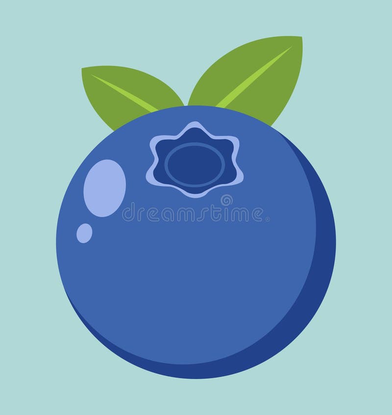 Vector Illustration of Blue Pretty Blueberry Stock Vector ...