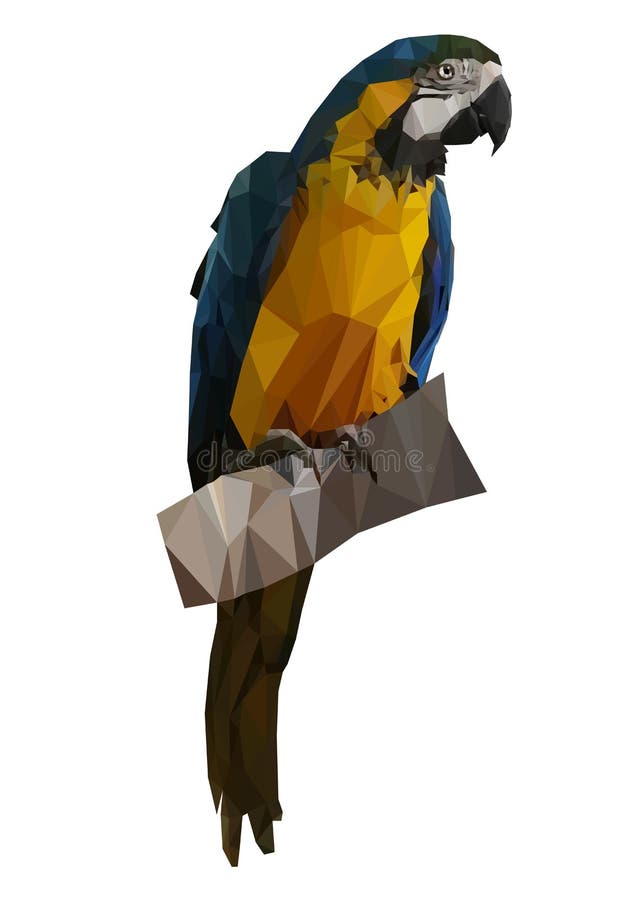Vector Illustration of Blue-Yellow Macaw in Low Poly Style Stock Vector ... Vector Illustration of Blue-Yellow Macaw in Low Poly Style Stock Vector ...