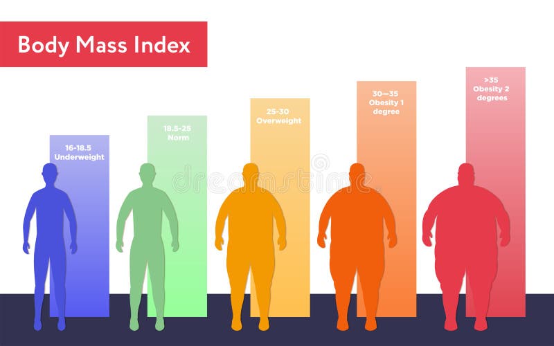 Vector Illustration with BMI Chart Stock Vector - Illustration of food ...