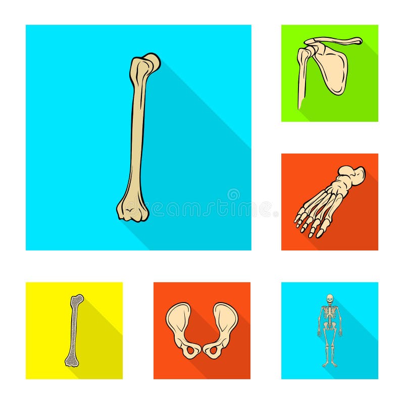 Vector Illustration of Bone and Skeleton Sign. Collection of Bone and ...