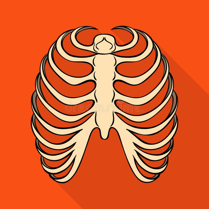 Vector Illustration of Bone and Skeleton Symbol. Collection of Bone and ...