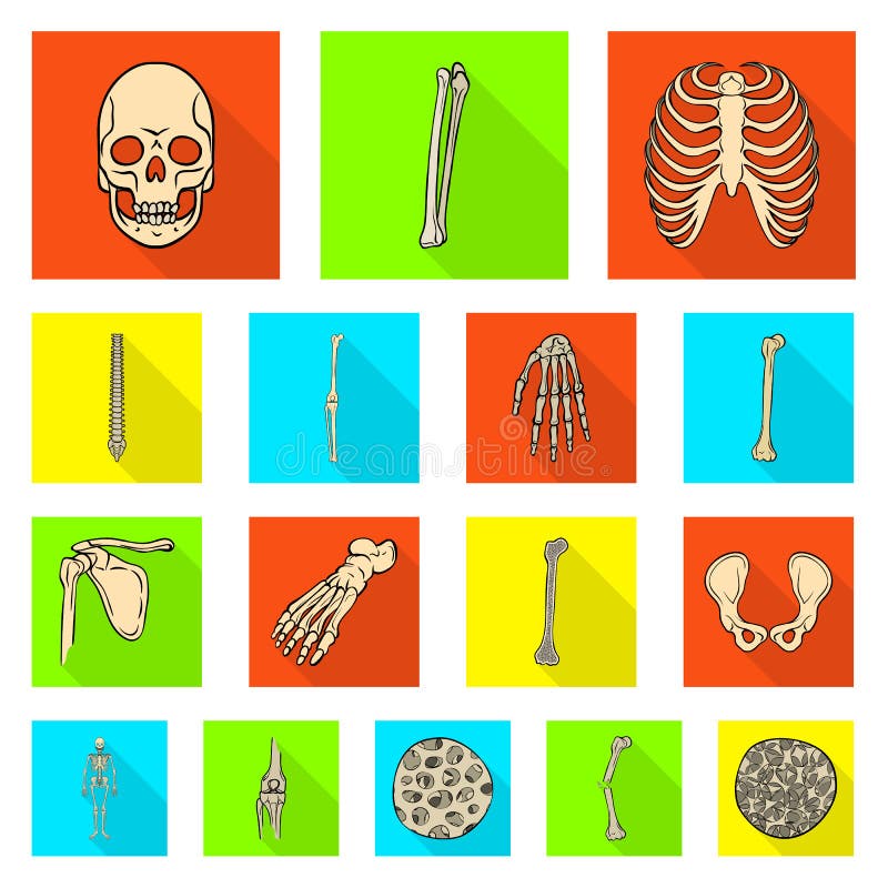 Vector Illustration of Bone and Skeleton Symbol. Collection of Bone and ...