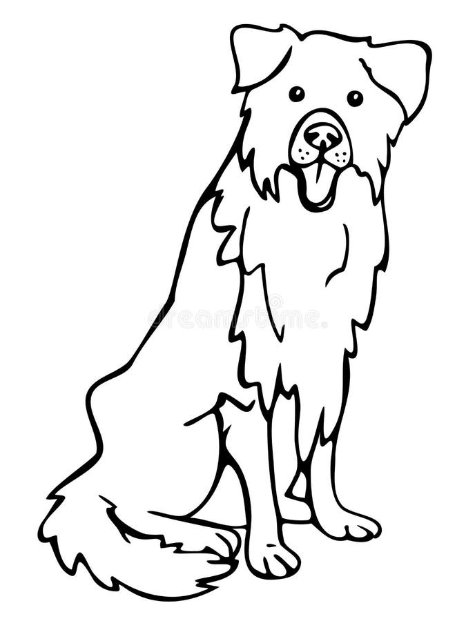 Collie Coloring Pages