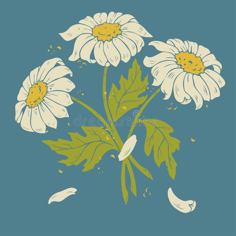 Daisy Falling Petals Stock Illustrations – 155 Daisy Falling Petals ...