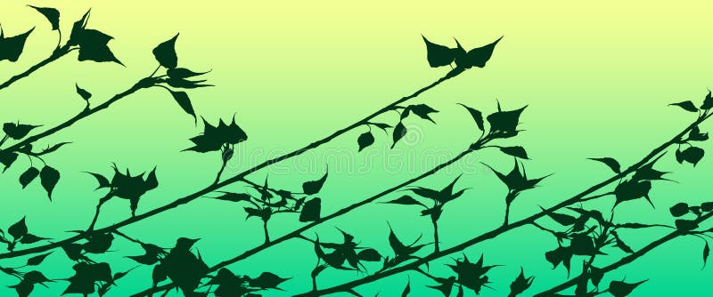 Vector Illustration.Branches with Leaves on Gradient Background.Plant ...