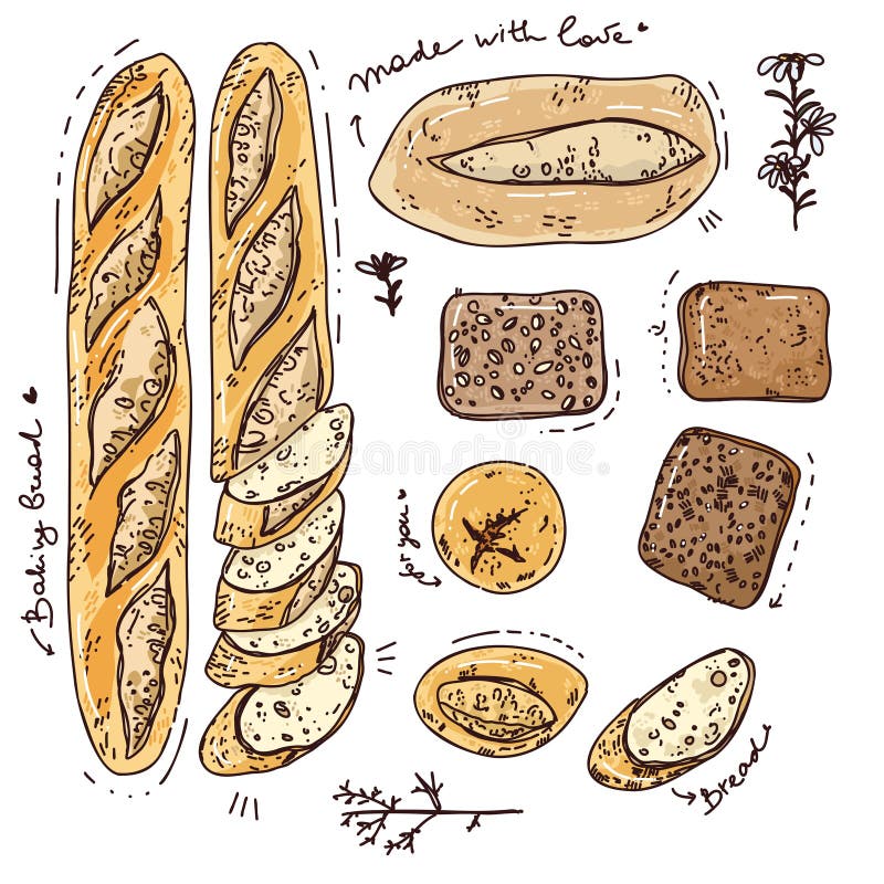 Vector Illustration with Breads Stock Vector - Illustration of bakery ...