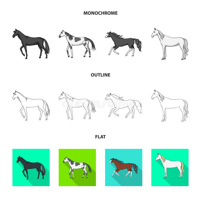 Vector Illustration of Breed and Equestrian Sign. Set of Breed and Mare ...