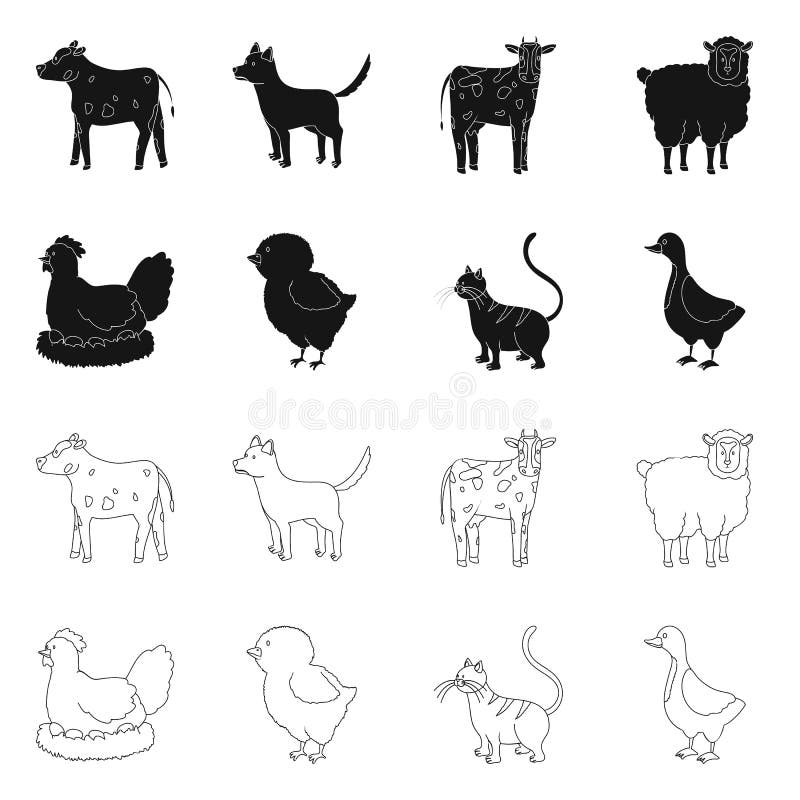Vector Design of Breeding and Kitchen Icon. Collection of Breeding and ...