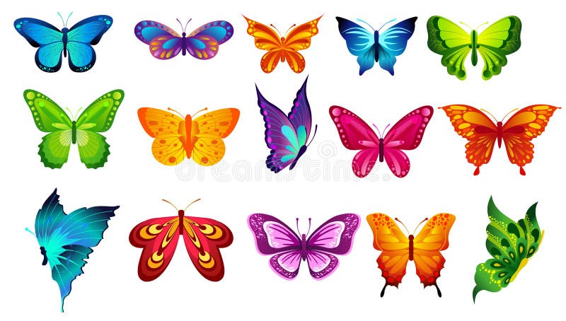 Vector Illustration of Bright Colors Butterflies Isolated on White ...