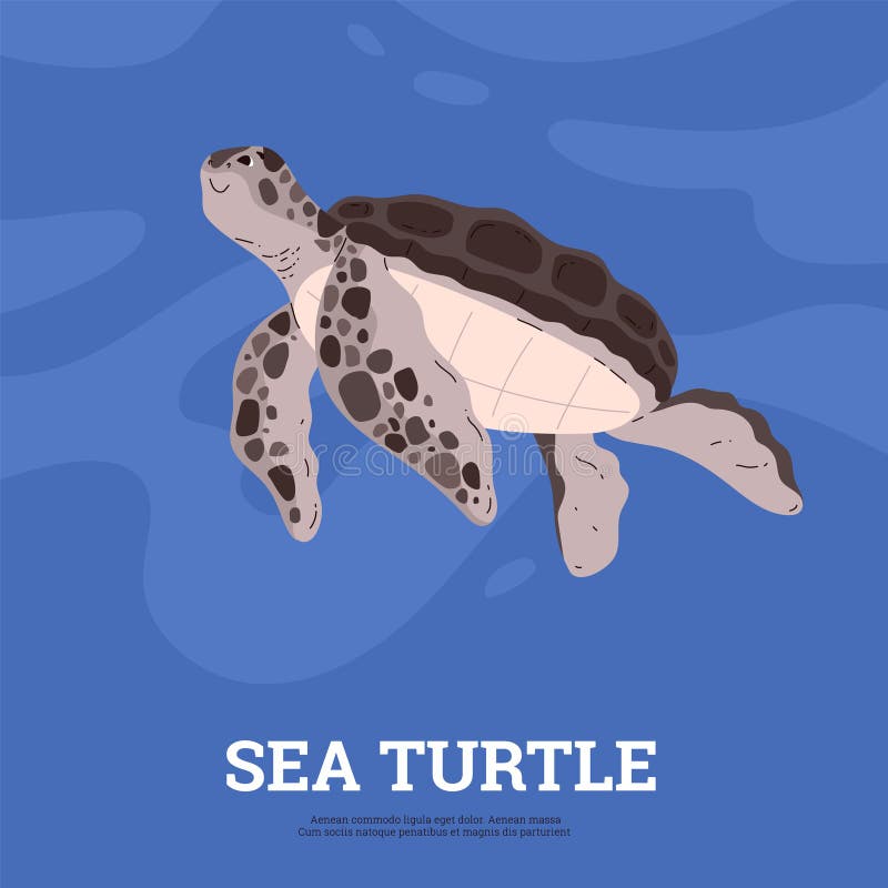 Vector Illustration of a Brown Spotted Sea Turtle Floating on the Sea ...