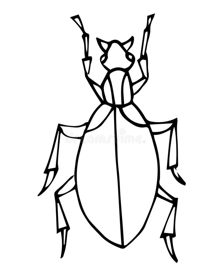 Insect Outline Vector, Icon. Coloring Page for Kids. Exotic Bug ...