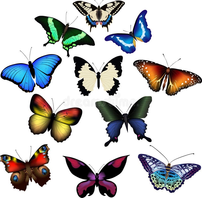 Multiple Butterflies Stock Illustrations – 2,174 Multiple Butterflies ...