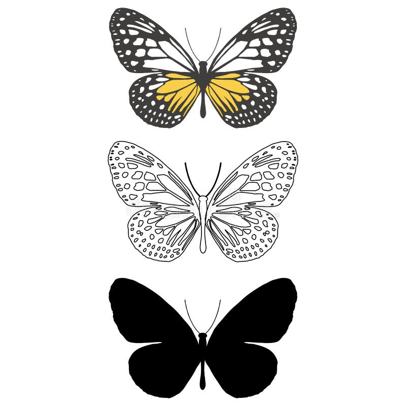 Vector Illustration of Butterfly Pattern Stock Illustration ...