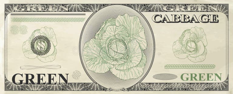 Vector Illustration of Cabbage Bill Stock Vector - Illustration of ...