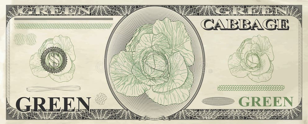 Vector Illustration of Cabbage Bill Stock Vector - Illustration of ...