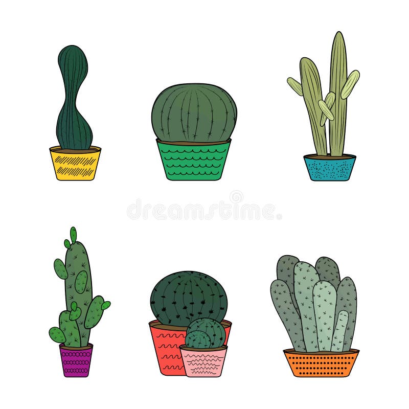 Vector Illustration of Cacti in Pots Isolated on White Background Stock ...