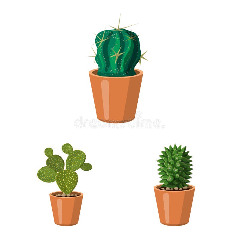 Vector Illustration of Cactus and Pot Symbol. Collection of Cactus and ...